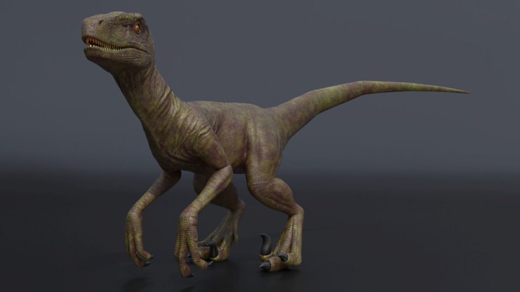 Velociraptor – Noi Dinosauri